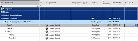 Percentage Complete Issues Smartsheet Community