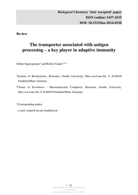 Pdf The Transporter Associated With Antigen Processing A Key Player In Adaptive Immunity