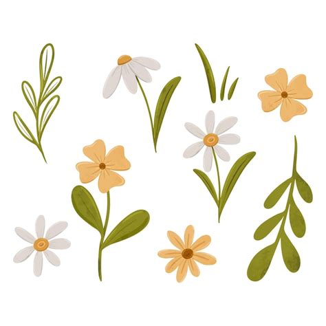 Premium Vector Set Of Pretty Simple Daisy Flowers Coupon With Chamomile In Scandinavian Style