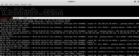 TCPDUMP 25 Common Command Examples Yeah Hub