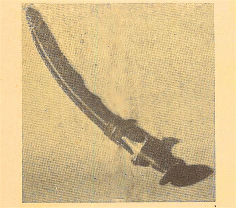 Reflections Milād Syedna Taher Saifuddin Ra Blogs Aljamea Tus Saifiyah