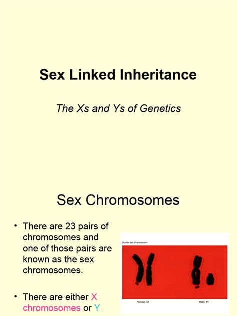 Sex Linked Inheritance Pdf