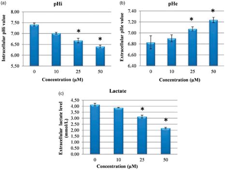 Measurement Of Phi Phe And Extracellular Lactate Level A The