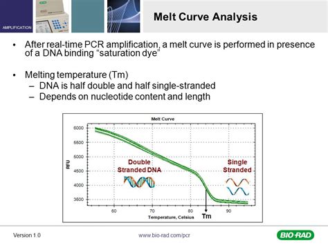 Cfx96 Real Time Pcr Detection System Ppt Download