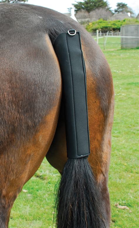 Tail Guard Tail Guard