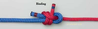 Difference Between Static And Dynamic Binding Static Vs Dynamic Binding