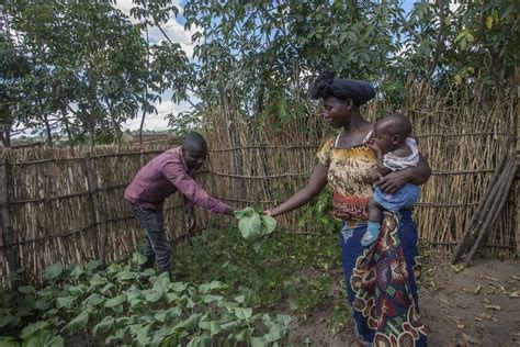 Ensuring Production Of And Access To Nutritious Foods For Complementary