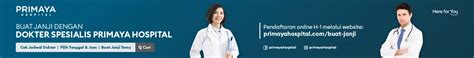 Mengenal Percutaneous Transluminal Coronary Angioplasty Ptca Primaya Hospital