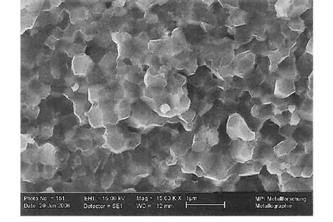 Sem Image Of Microstructure Of Zta Tm Dar2 Vol Vp Ph Sintered At