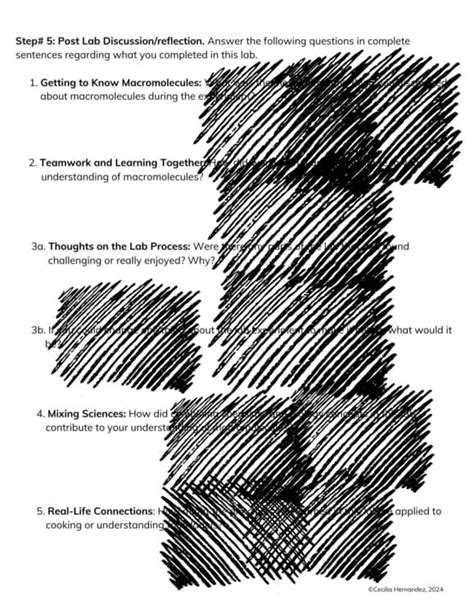 Full Lab Macromolecule Biomolecule Science Fair Tragedy Lab Tpt