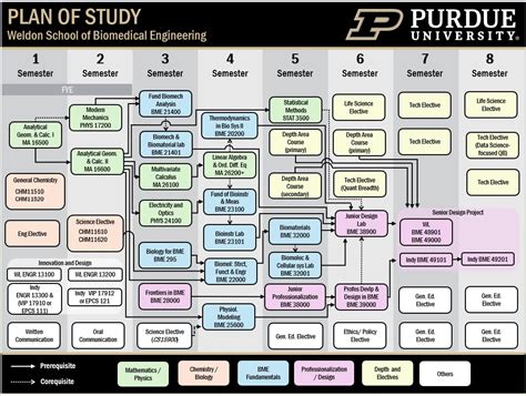 Bme Degree Requirements Biomedical Engineering Purdue University