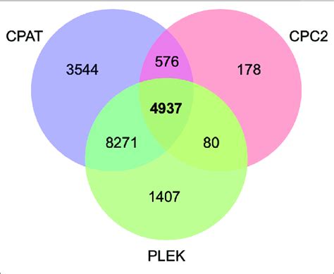 Putative Long Noncoding Rnas Based On Cpc2 Plek And Cpat Tools Download Scientific Diagram