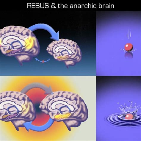 The Top Row Depicts Aberrant Brain Dynamics In Which Over‐weighted Download Scientific Diagram