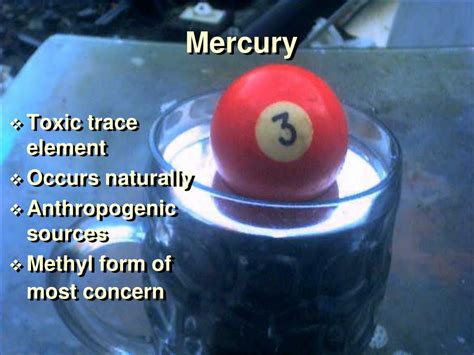 Mercury Element Toxic