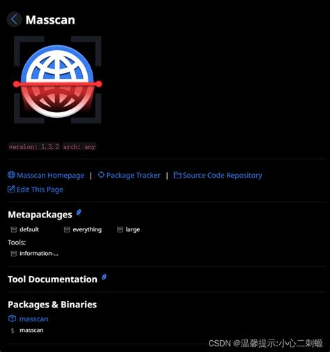 Masscan使用 Masscan扫描端口 Csdn博客