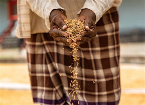 Where Agriculture Meets Mining Whyafrica