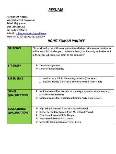 Rohit Resume Pdf