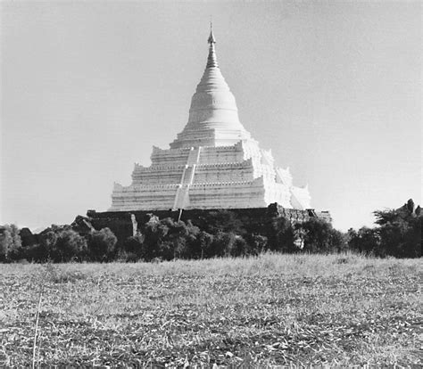 Cetiya Architecture Britannica