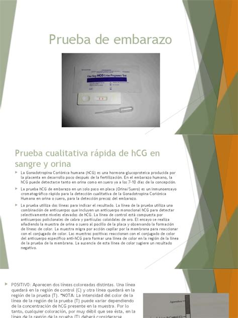 Prueba De Embarazo Pdf