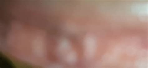 Shrunken ThisVid Com