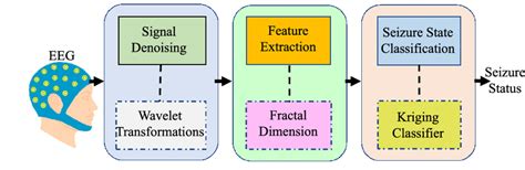 Proposed Real Time Seizure Detection Mode Download Scientific Diagram