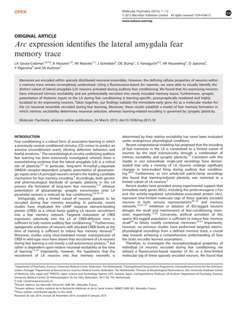 Pdf Arc Expression Identifies The Lateral Amygdala Fear Memory Trace