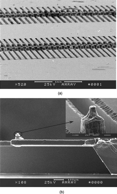 A Backside View Of The Highly Dense And Uniform Probe Arrays B