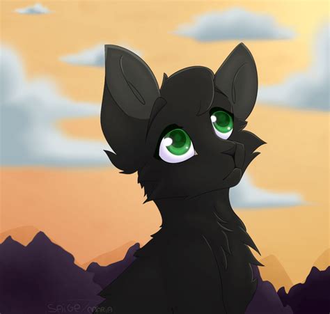 Blogclans Favourite And Least Favourite Warrior Cats By Fernmist Blogclan
