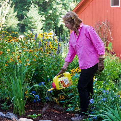 A Weed Killer Is Not The Same As A Weed Preventer
