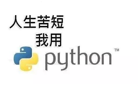 Python基础入门 Day 3 知乎
