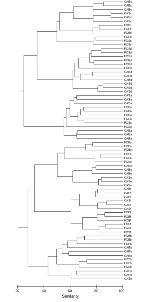 cluster analysis based on a bray curtis similarity matrix of