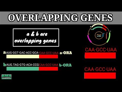 What Is A Non Overlapping Code