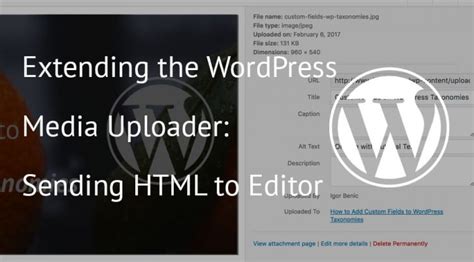 Should You Use Wordpress Transients Igor Benić