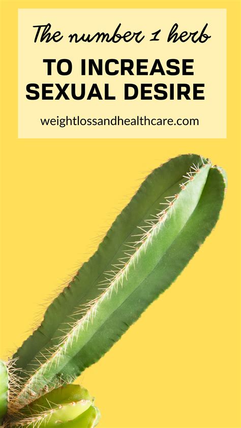 Make Sexual Wellness Artofit