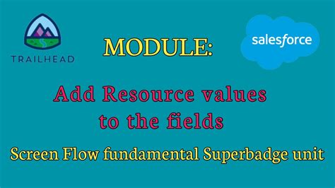 Screen Flow Fundamentals Superbadge Unit Add Resource Values To The Fields Salesforce