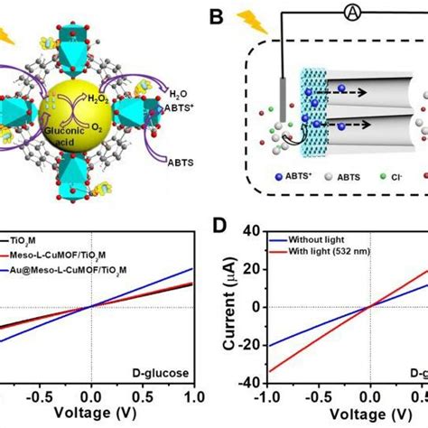 A Schematic Illustration Of Enantioselective Glucose Detection Based