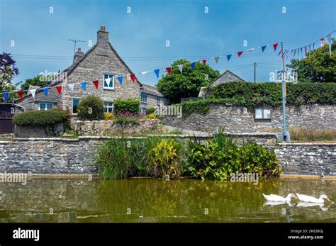 Ducks On The Village Pond In Worth Matravers On The Isle Of Purbeck