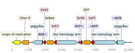 Dna Features Viewer · Pypi