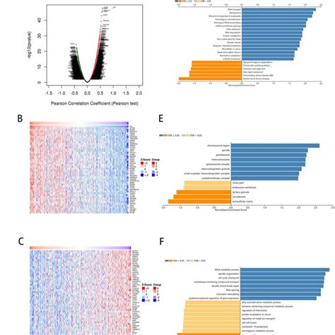 The Relationship Between Cs Expression And Clinicopathological Download Scientific Diagram