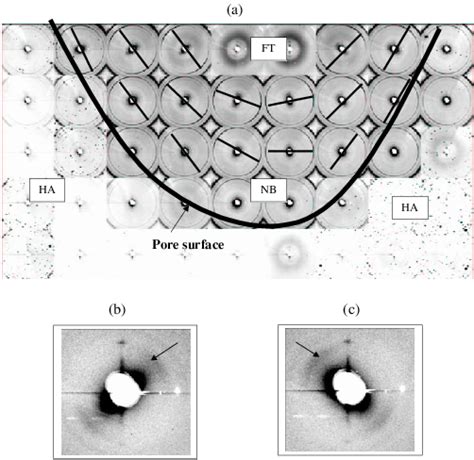 A Collection Of The Diffraction Patterns Recorded In The Analysed Download Scientific Diagram