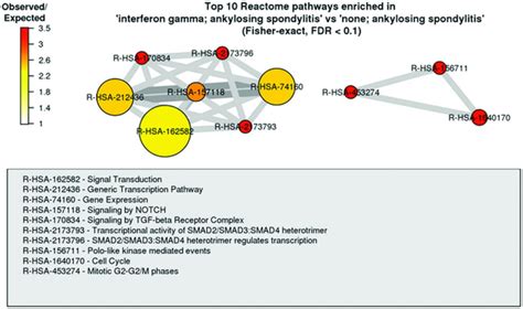 Top 10 Reactome Pathways Enriched In The Set Of Genes Differentially