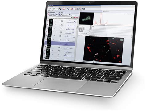 New Features For Witec Particlescout Spectroscopy Europe World
