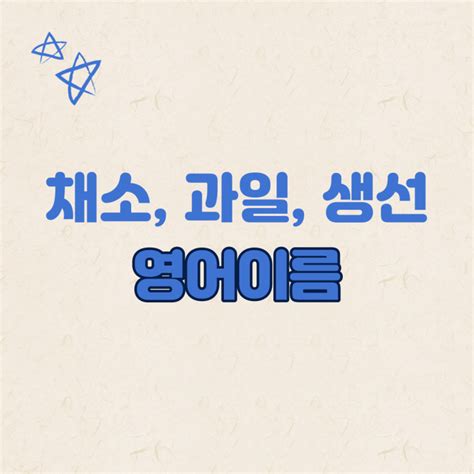 영어 채소 과일 생선 영어이름 네이버 블로그