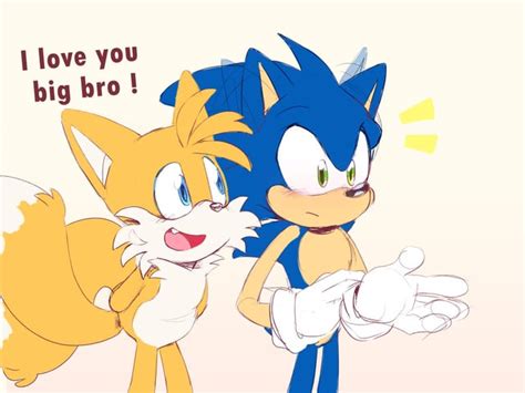 Sonic And Tails Have The Best Brotherly Bond Artist Anouckyshim R