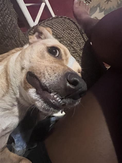 Her Teefs R Toofers