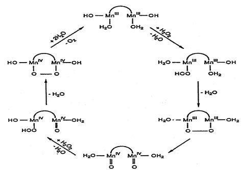 Ii Reaction Scheme For The Catalytic Decomposition Of