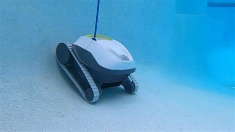 Dolphin T Review Dolphin Reviews