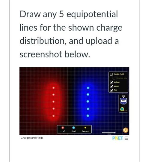 solved using the phet simulation charges and fields draw