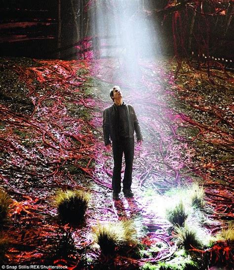 外星人降临地球？英国山区现诡异一幕，“红色地毯”铺满山涧