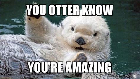Youre Amazing Meme